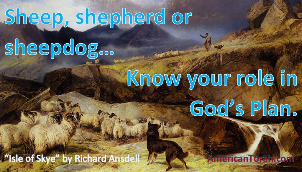Hunter vs Shepherd - American Torah
