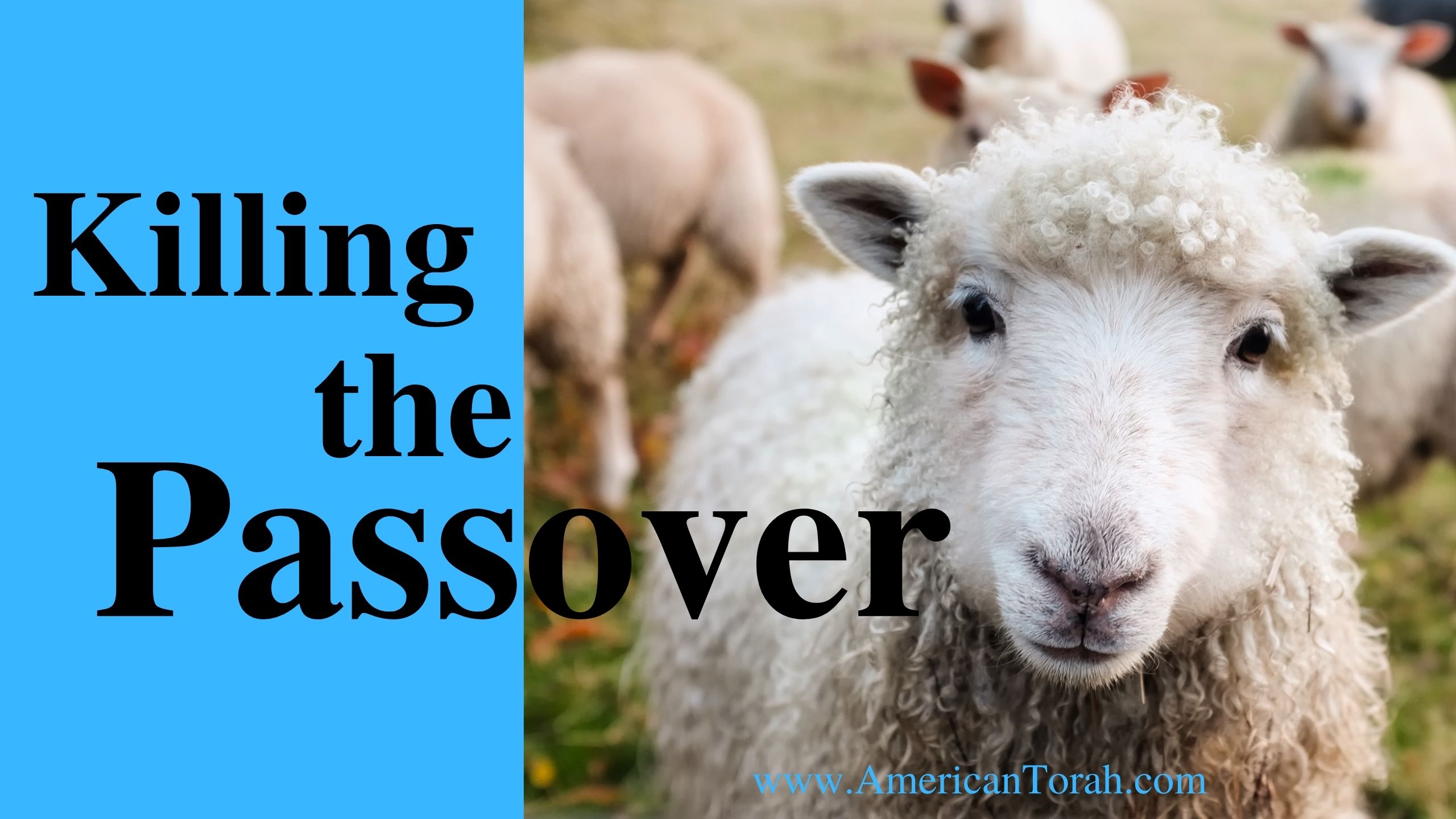 Passover Lamb Door