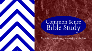 Common Sense Bible Study - American Torah